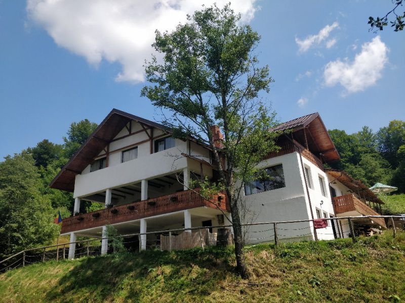 Descoperă satu' muscelean | călătorul digital