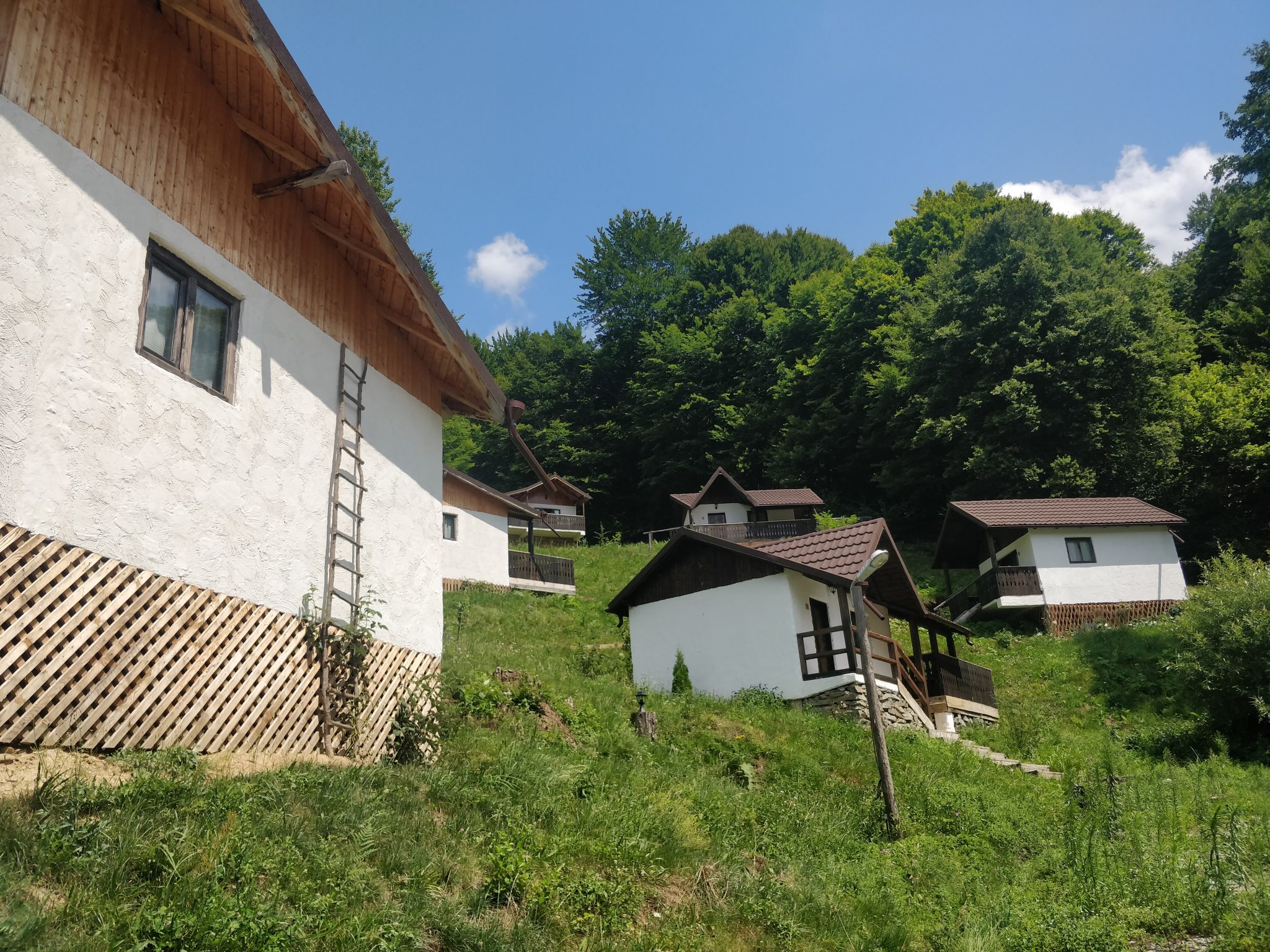 Descoperă satu' muscelean | călătorul digital